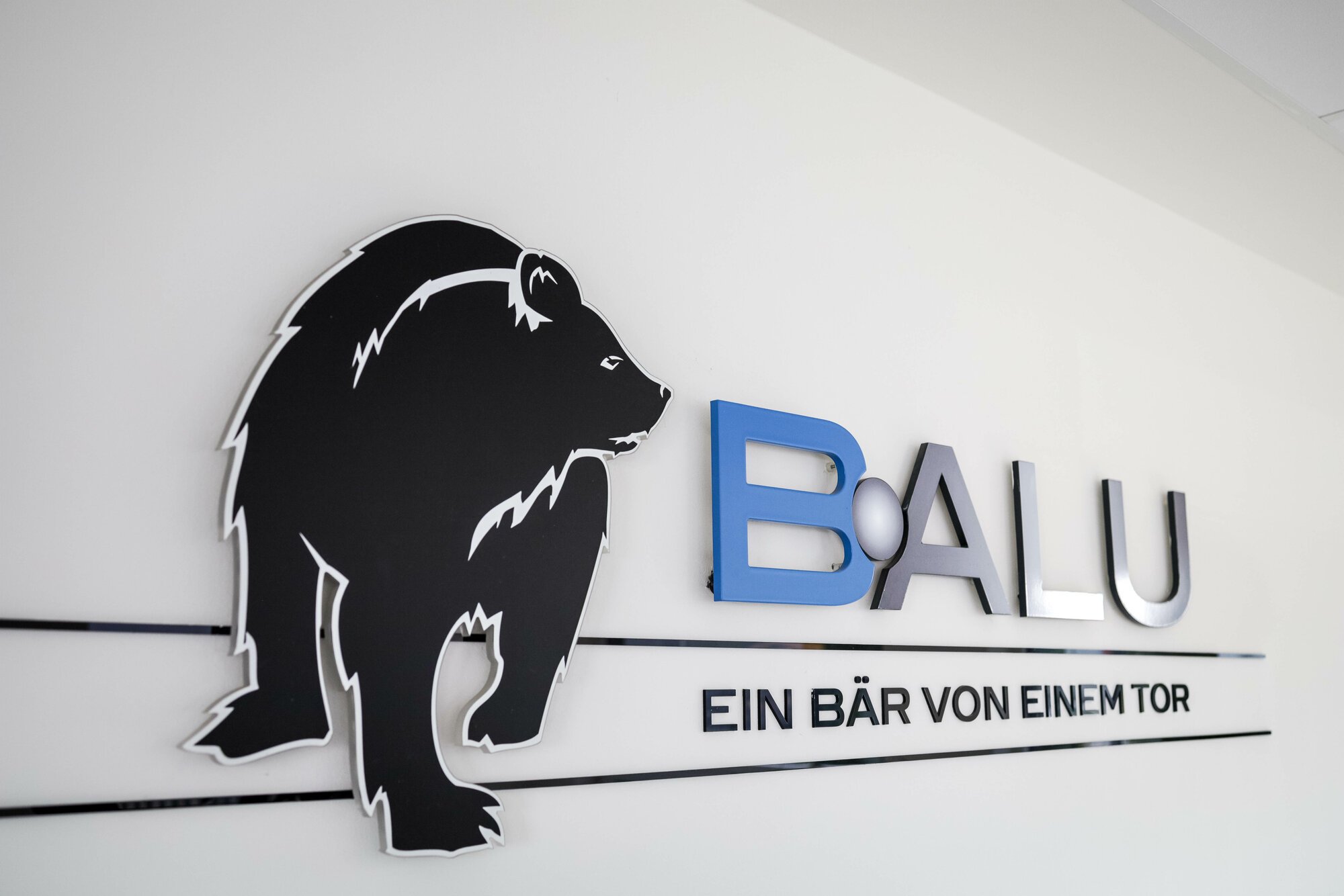 BALU Tore – Ein Bär von einem Tor